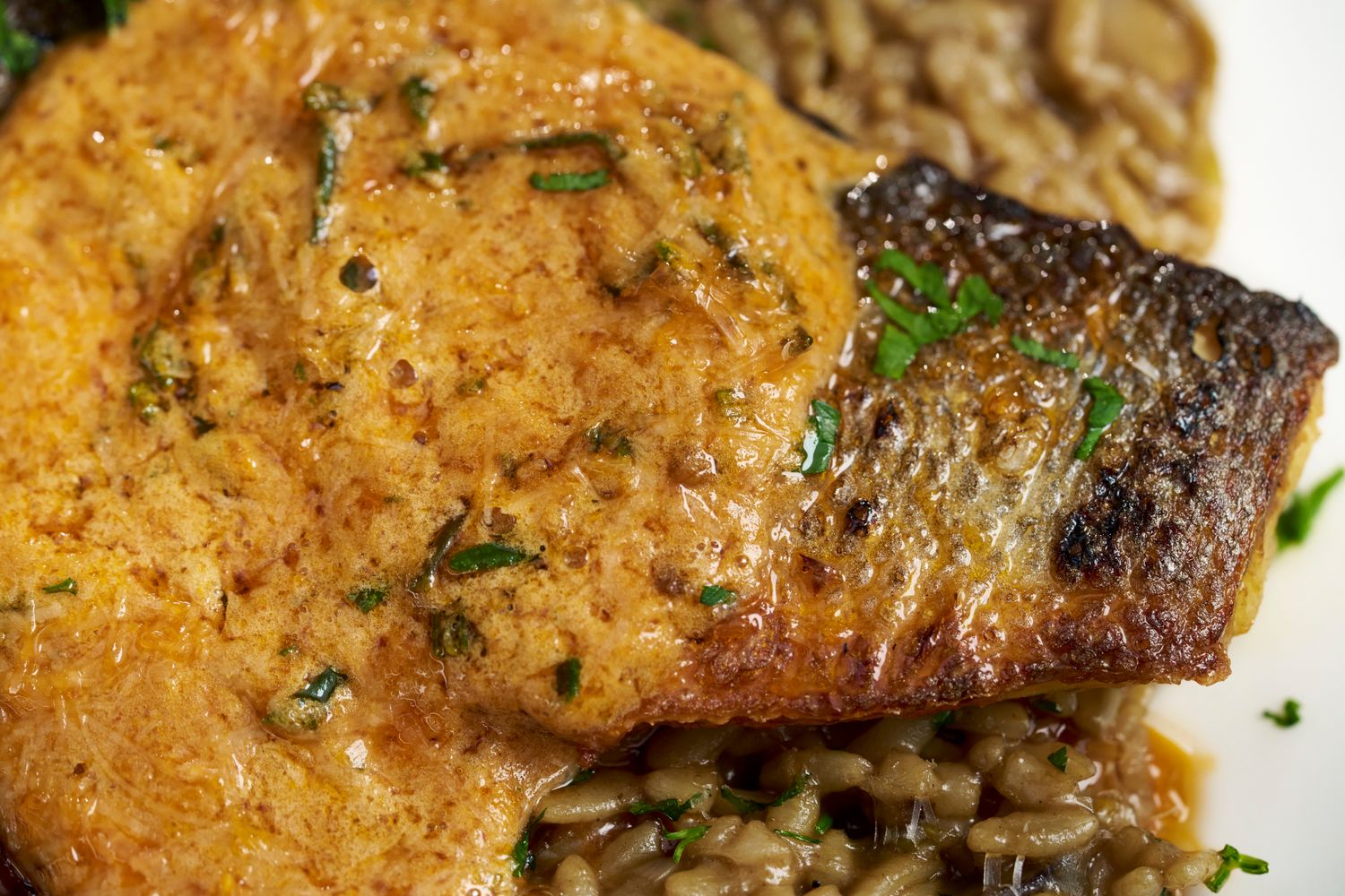 Menus at The Grasshopper